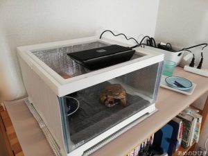 〈GEXヒーティングトップMレビュー〉載せるだけで冬を越せる安心ヒーター〈レプテリアホワイト300CUBEと相性抜群〉 | あめのひびき