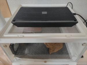 〈GEXヒーティングトップMレビュー〉載せるだけで冬を越せる安心ヒーター〈レプテリアホワイト300CUBEと相性抜群〉 | あめのひびき